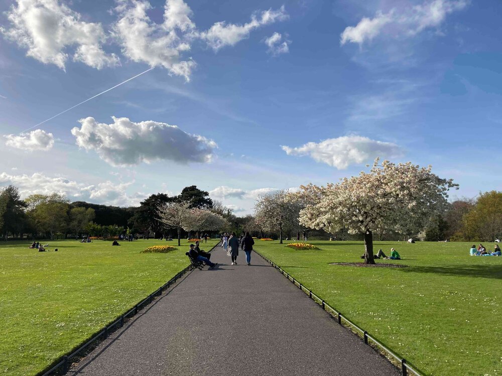 The most beautiful parks in Dublin to spend your time in spring and ...